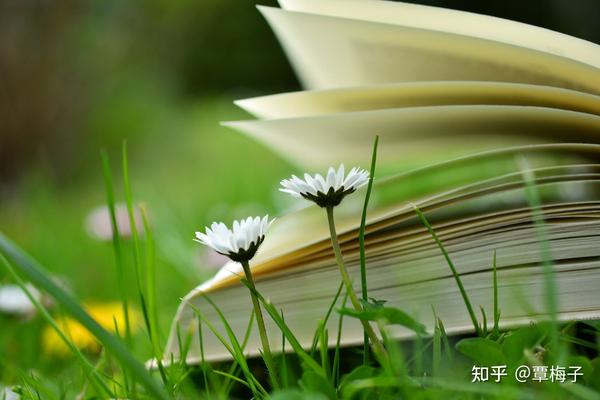 《快速阅读术》:7个方法制定读书计划,让你的读书更高效 知乎