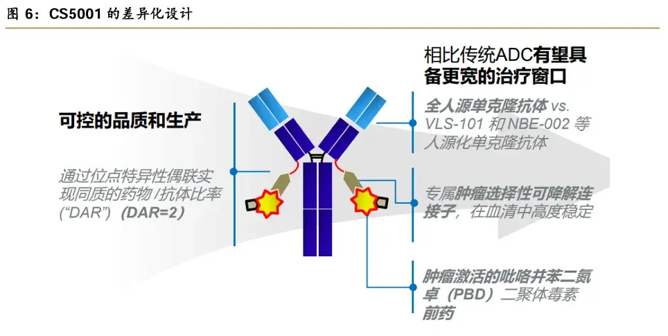 淋巴瘤新星ROR1 ADC，CS5001联合疗法挑战DLBCL - 知乎