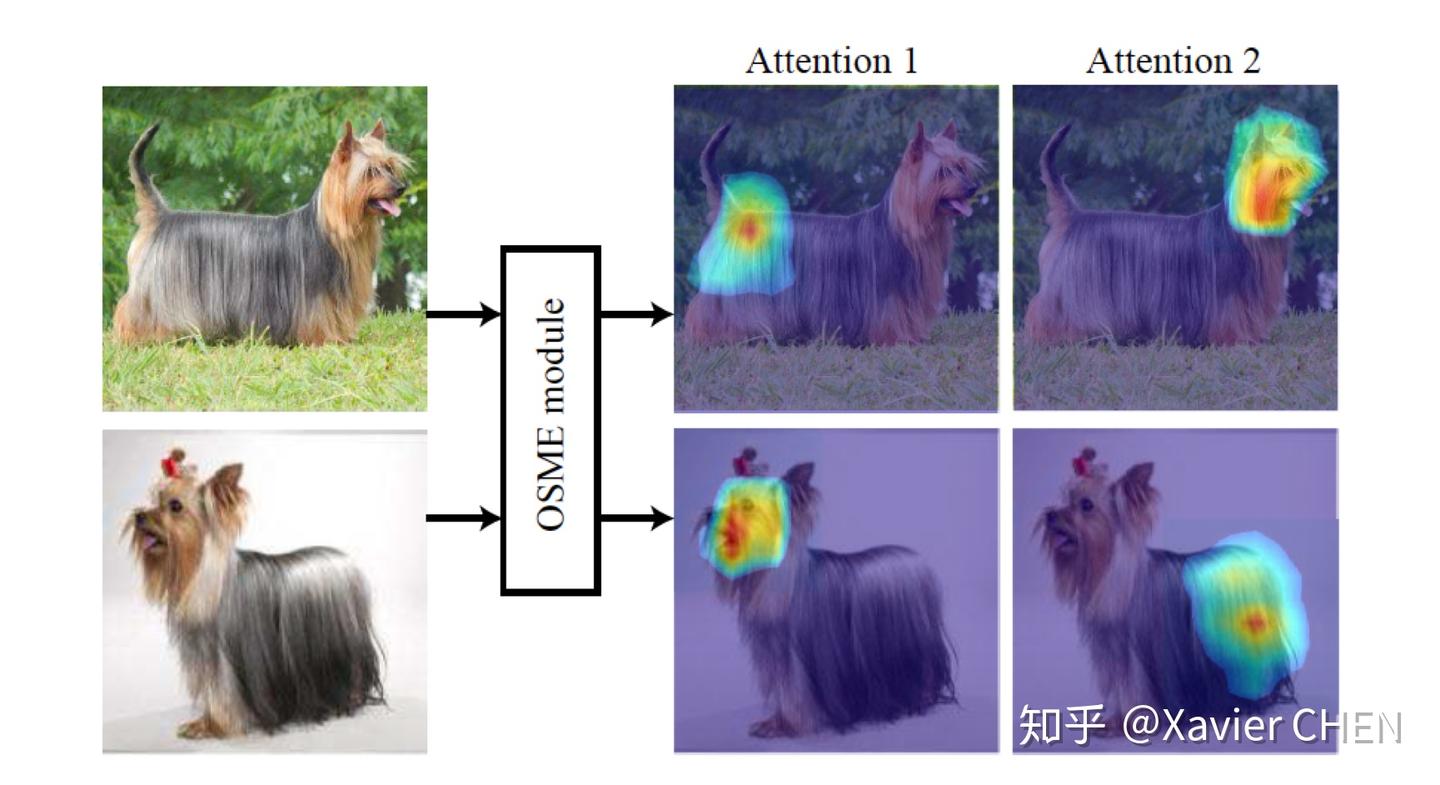 简评 | Fine-Grained Classification - 知乎