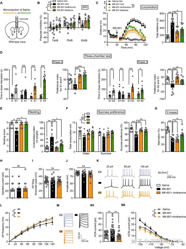 PNAS︱浙江大学胡薇薇/陈忠团队发现基于组胺H2受体的精神分裂症潜在药物靶标 - 知乎
