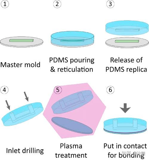 PDMS总述——聚二甲基硅氧烷简介 - 知乎