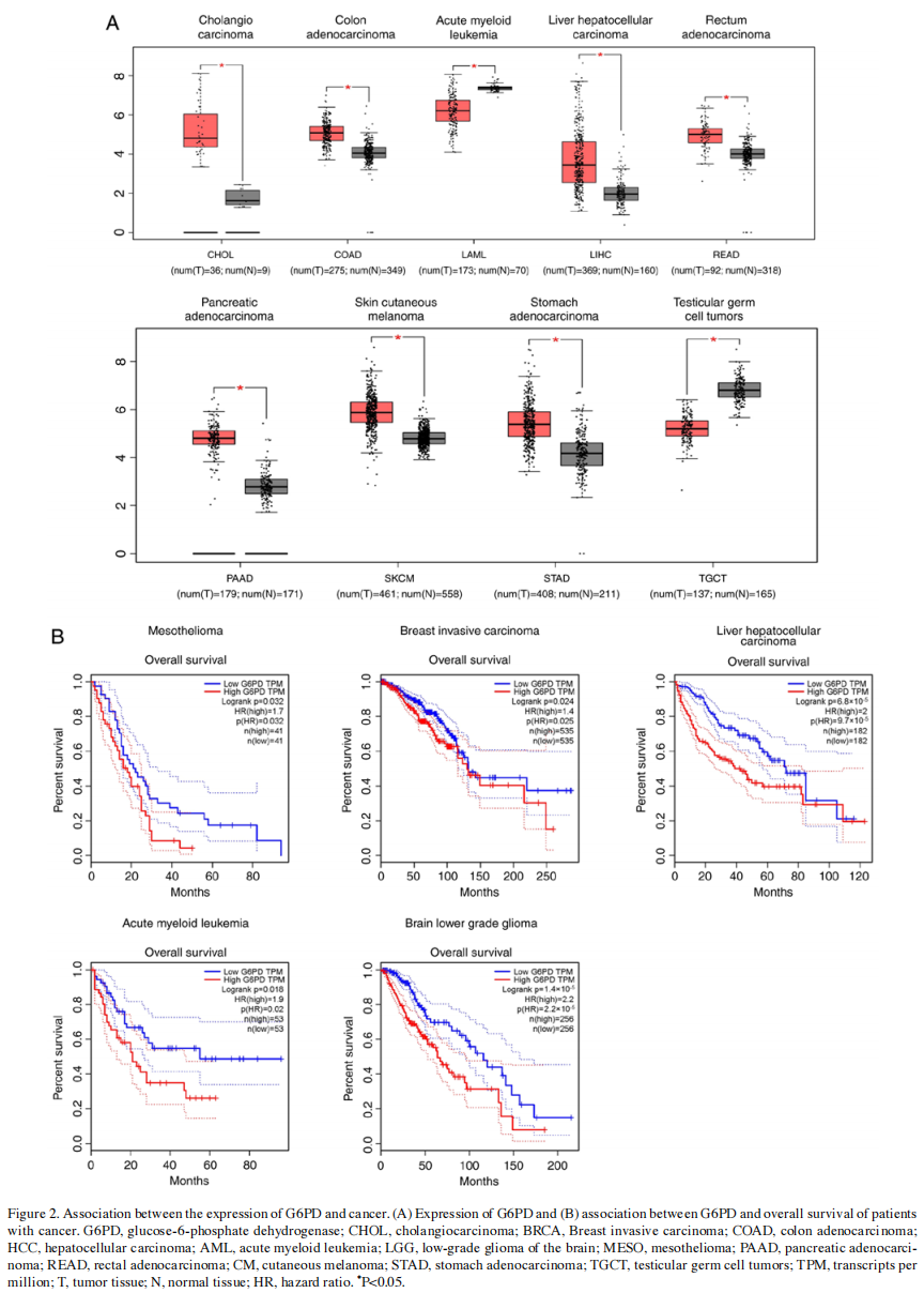 检验视界 | 探讨G6PD在癌症中的作用 - 知乎