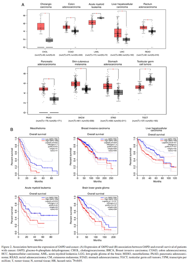 检验视界 | 探讨G6PD在癌症中的作用 - 知乎