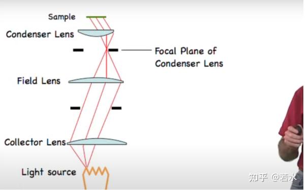 学习笔记ibiology.org | Microscopy Series（1-5） - 知乎