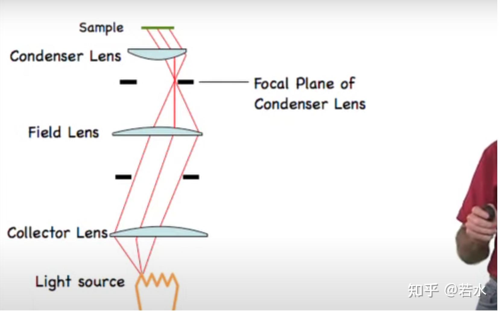 学习笔记ibiology.org | Microscopy Series（1-5） - 知乎