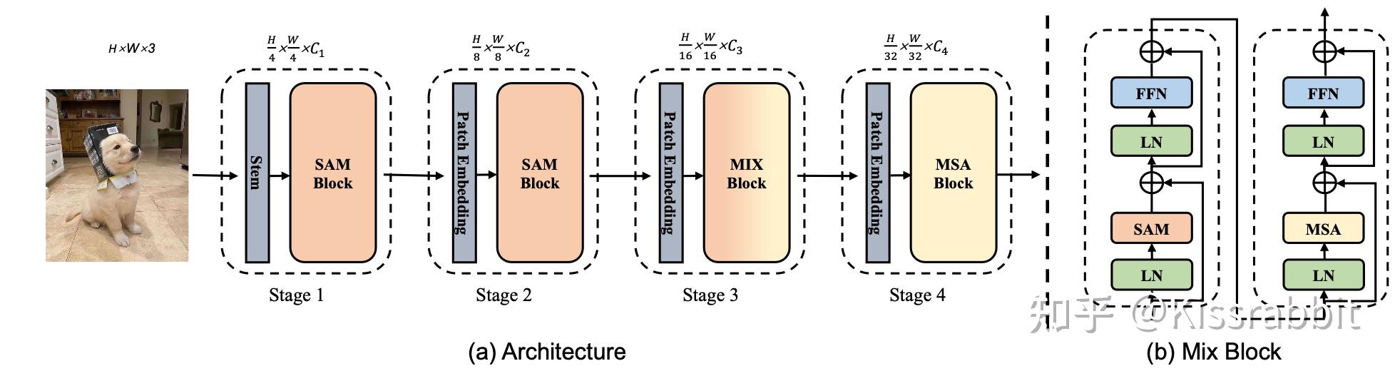 《视觉Backbone探索》-第1章-浅析Scale-aware Modulations - 知乎