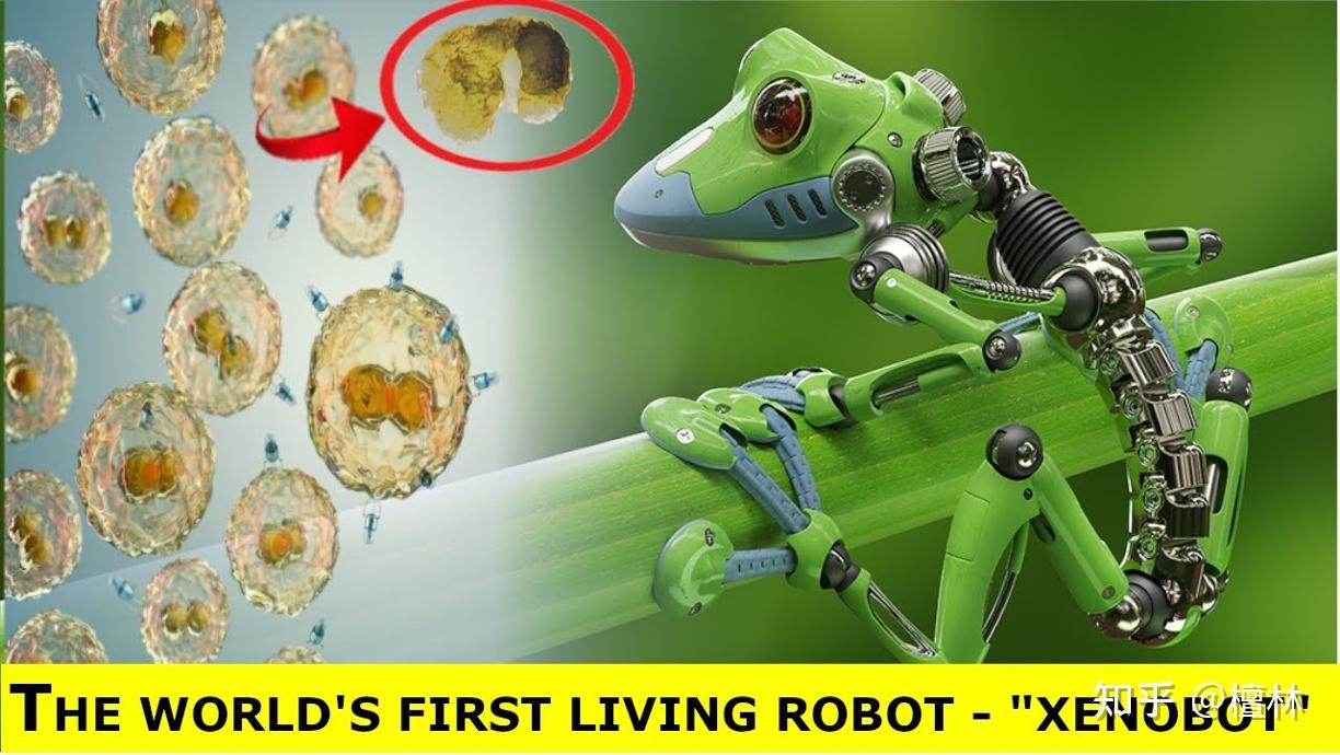 克劳斯.施瓦布《第四次工业革命：转型的力量》 - 知乎