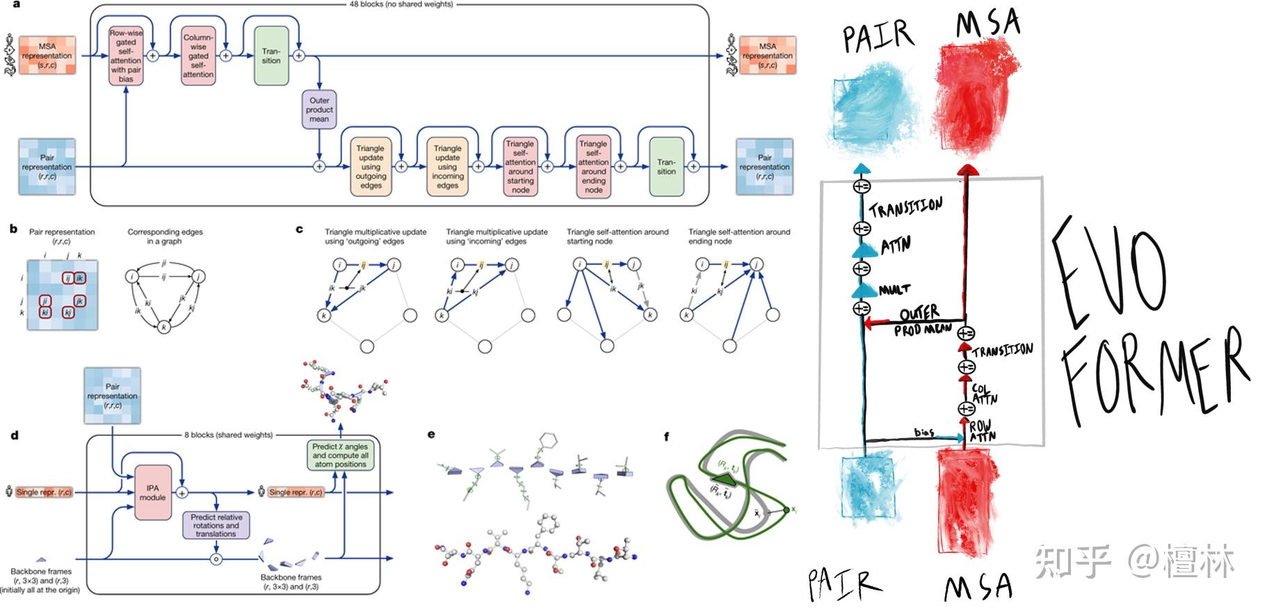 Alphafold 3：揭示生命奥秘的AI革命 - 知乎