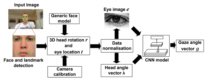 视线估计 - Appearance-Based Gaze Estimation in the Wild - 知乎
