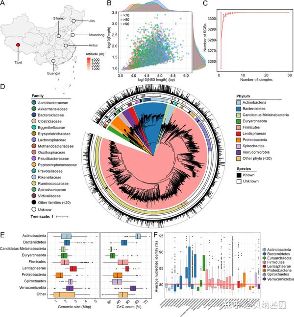 文献解读 | 使用超深宏基因组测序构建绵羊和山羊的肠道微生物Ref-宏基因组图谱 - 知乎