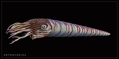 “恋之深海”漫游指南（目录） - 知乎