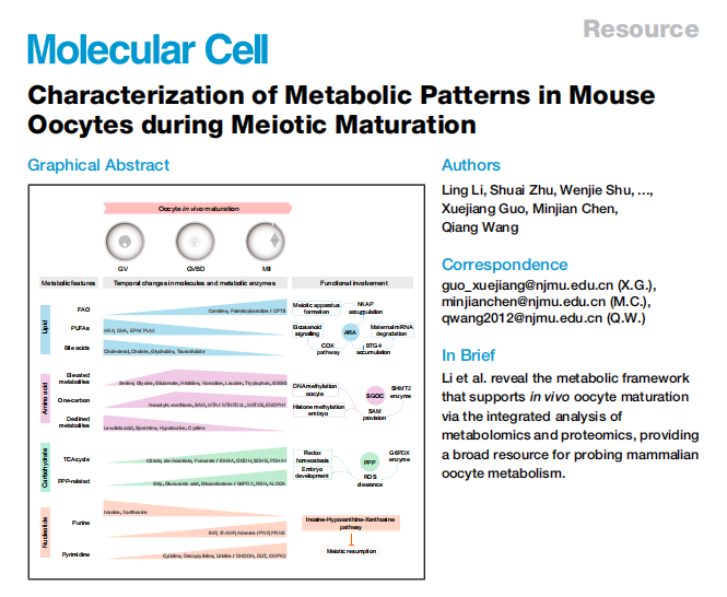 Mol Cell | 蛋白+代谢揭示卵细胞成熟机制 - 知乎