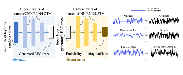 IEEE TNNLS | 脑电(EEG)自监督学习 - 知乎