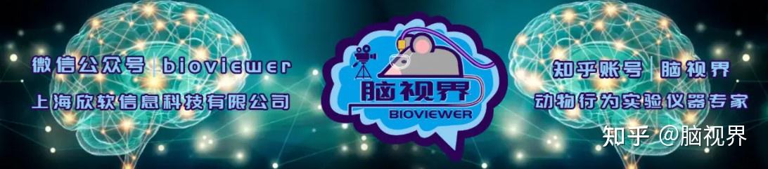 深圳先进院王立平、蔚鹏飞团队在计算神经行为学领域取得新进展 - 知乎