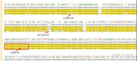 SnapGene安装和使用教程 - 知乎