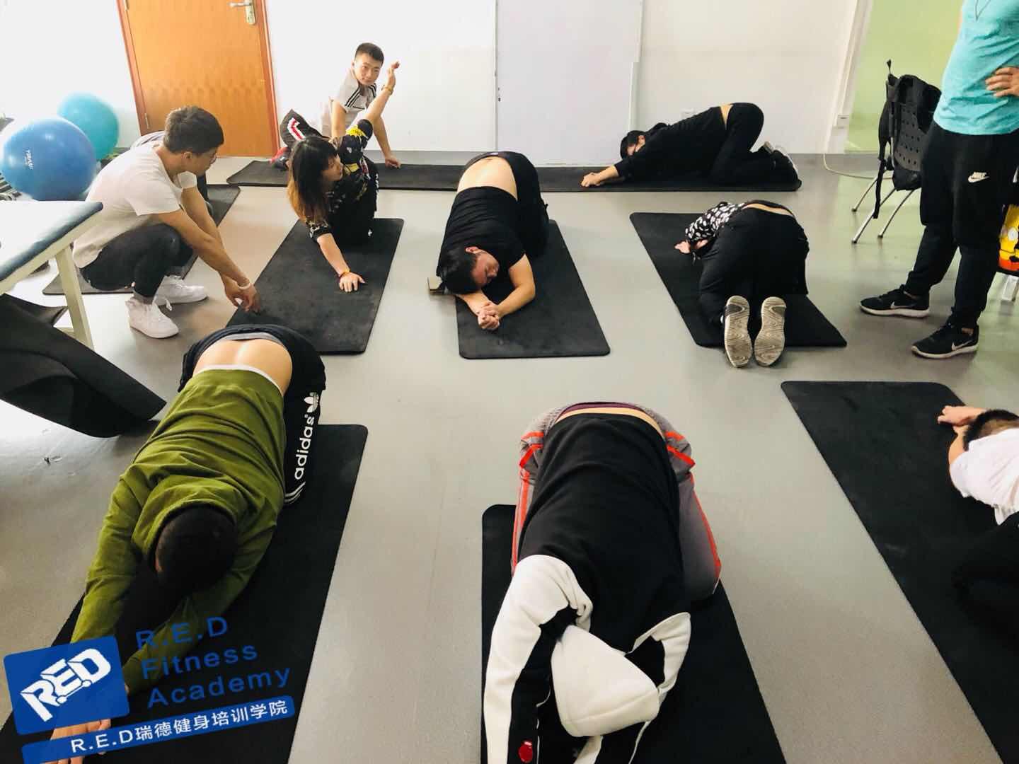 女生想要做一名正规的健身教练怎么办? 知乎