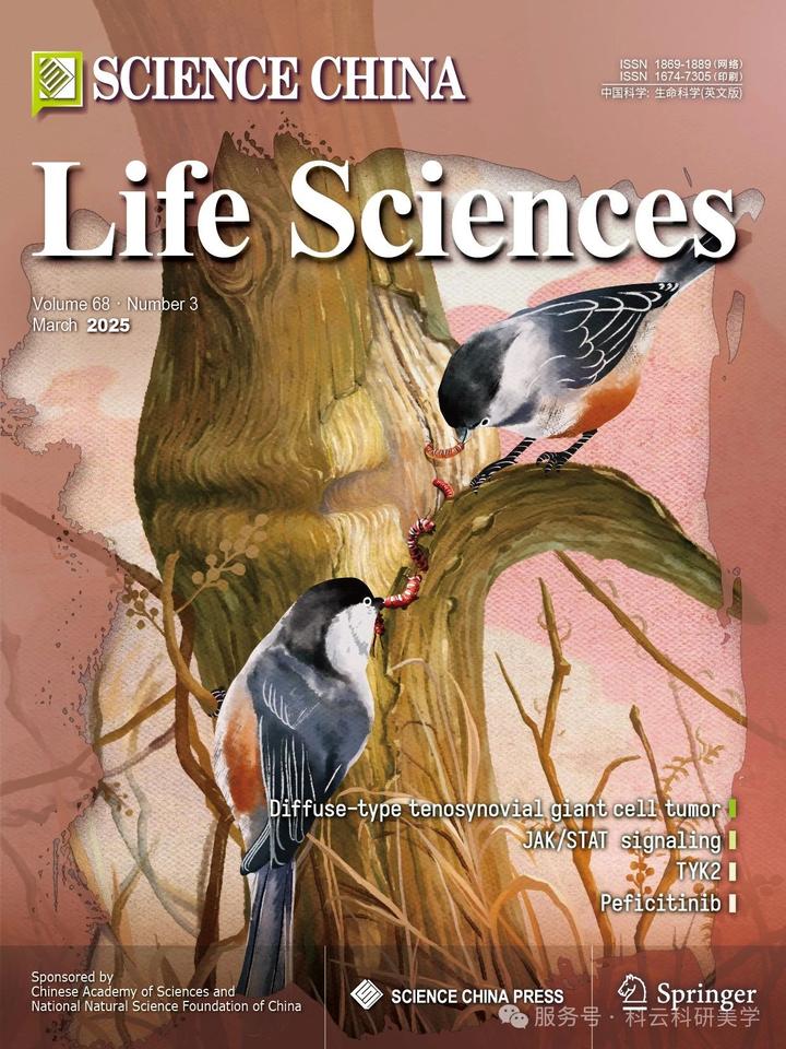 《Science China Life Sciences》封面设计全过程分享 | Vol.68 No.3 - 知乎