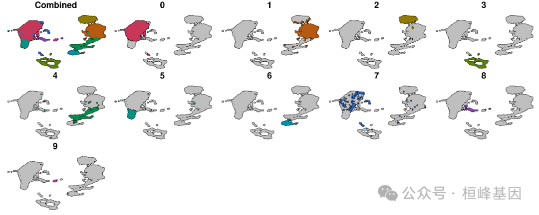 SCS【39】单细胞转录组之降维散点图的美化 (SCpubr) - 知乎