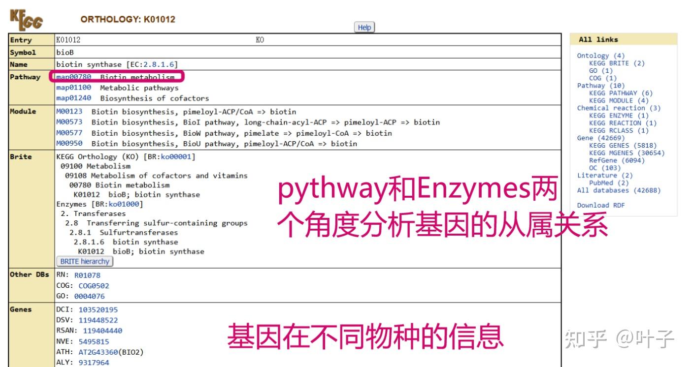 KEGG数据库使用技巧-1 - 知乎