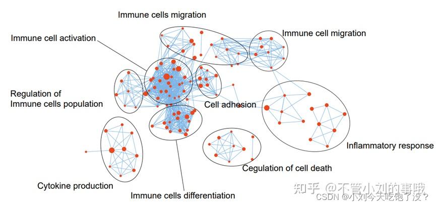 GO term功能网络，富集网络，功能网络绘制，R语言，Cytoscape - 知乎