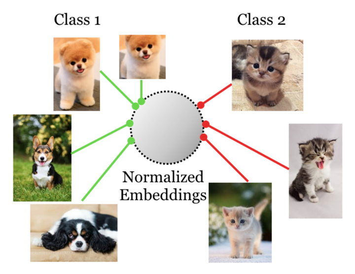 Contrastive Learning 简版综述及Contrastive Learning 中 Loss 的进化 - 知乎