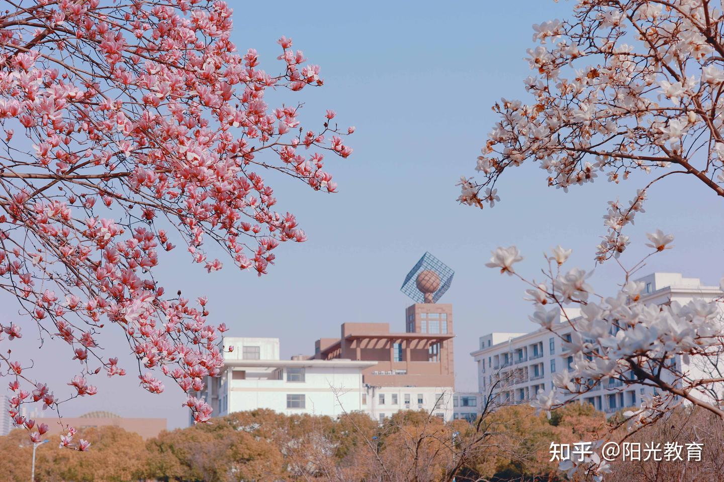 扬州大学、温州大学、广州大学、常州大学，谁的综合实力更强？ - 知乎