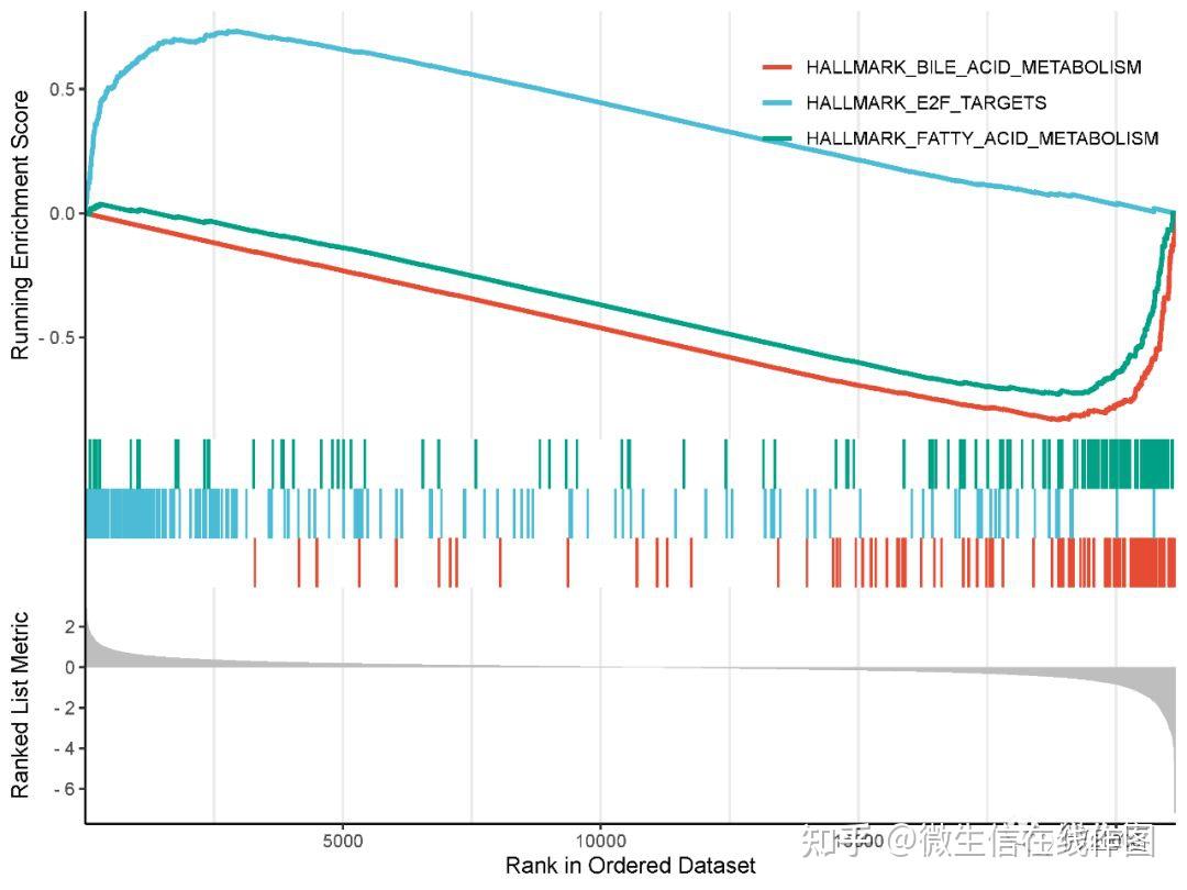 ClusterProfiler在线基因集富集分析，支持自定义基因集、任意物种 - 知乎