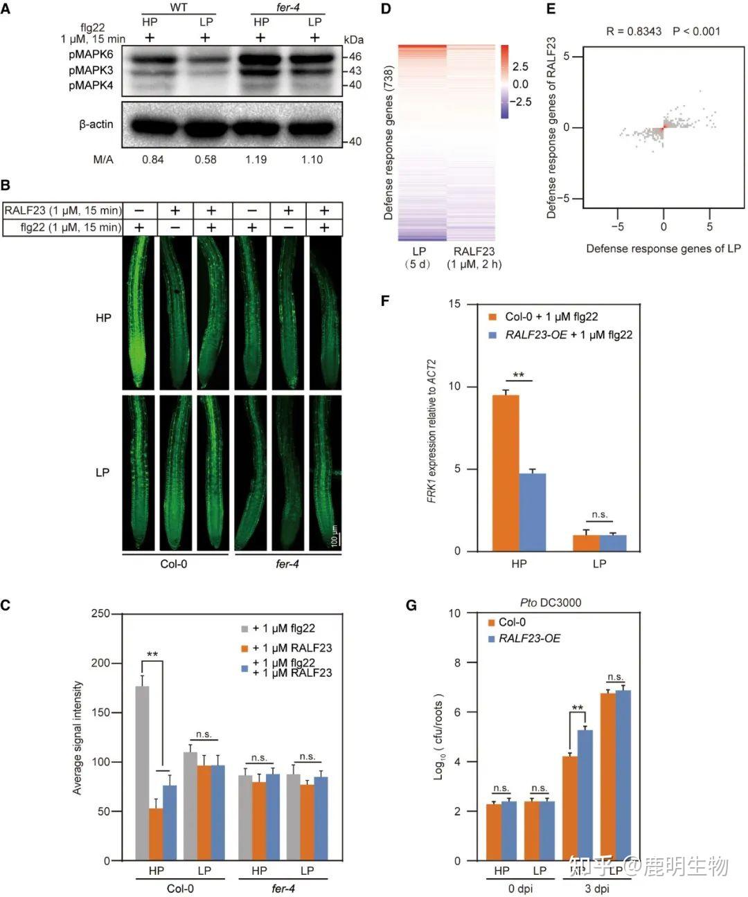 如何运用转录组测序进行农口方向研究？ - 知乎