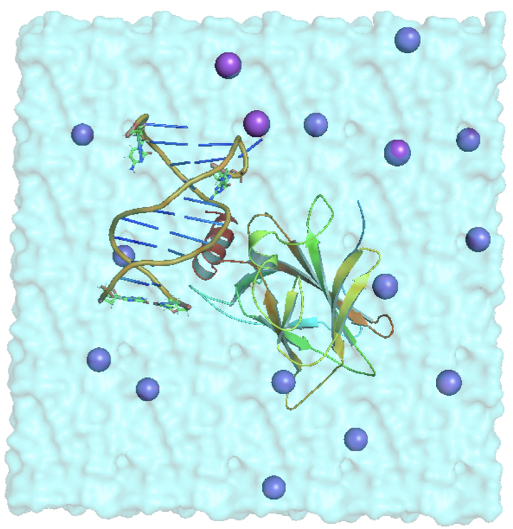 Amber/Gromacs搭建Protien/DNA体系 - 知乎
