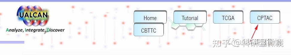 使用在线数据库UALCAN绘制SCI级箱式图和KM生存曲线，科研小白直呼真香！ - 知乎