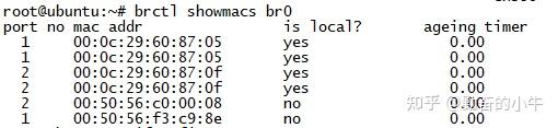 【brctl】-- 网桥 - 知乎