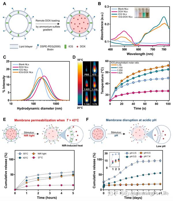《Science Advances》：基于磁性细菌用于3D微环境下刺激响应性药物递送 - 知乎