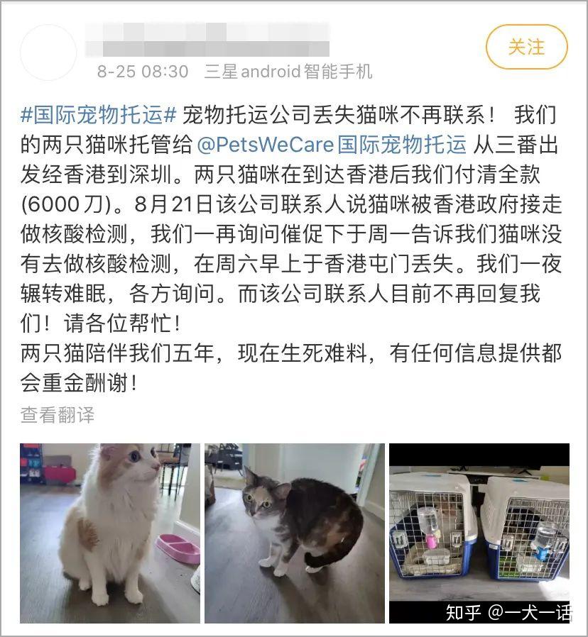 疫情期间的惨剧!因为黑心转运中介,15只宠物猫狗惨死在海岸… 知乎