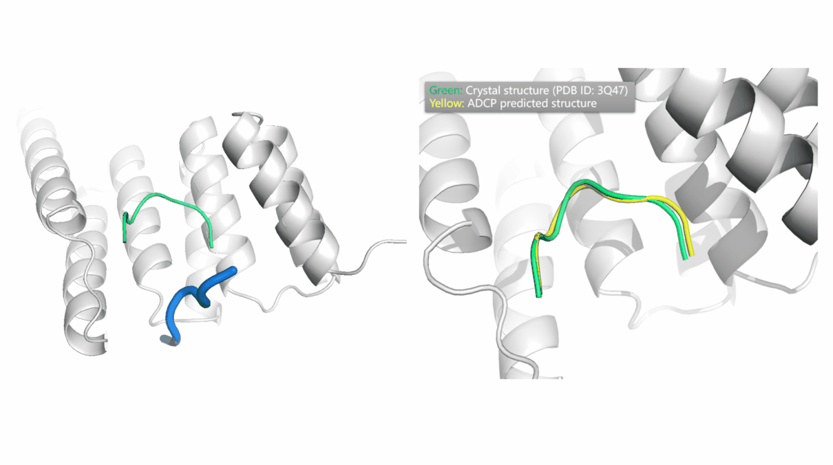 蛋白-多肽Docking——ADCP使用教程 - 知乎