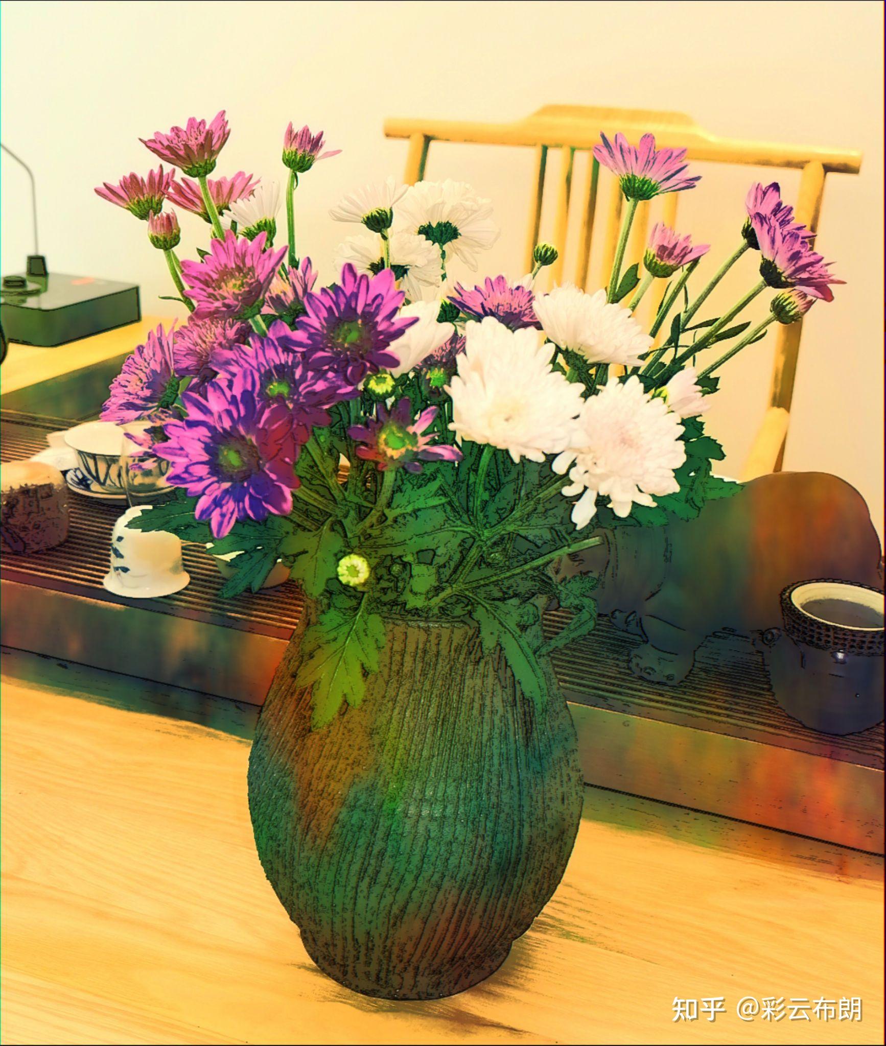 禅庭说•这四种茶的冲泡用水 - 知乎