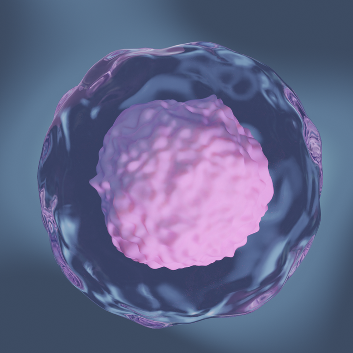 iPSC来源的iMSC，是时候重新认识一下“老朋友”！ - 知乎