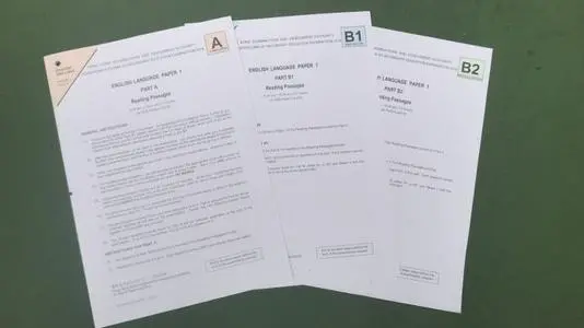 DSE英文丨2023年英文科目考试答题攻略!一文get所有小技巧！ - 知乎