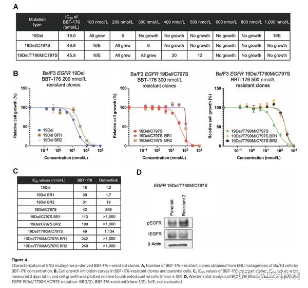 BBT-176，一种新的第四代酪氨酸激酶抑制剂，用于治疗非小细胞肺癌中奥希替尼耐药的EGFR突变 - 知乎