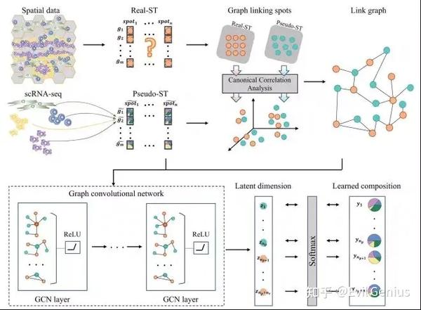 10X空间转录组重点分析合集3 - 知乎