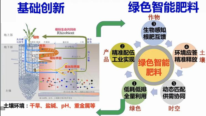 打通5-ALA生物合成基因组，细胞工厂生产，好而不贵！ - 知乎