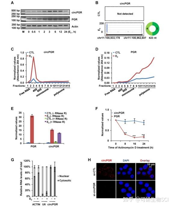 可研生物文献精读：雌激素诱导的circRNA通过调节细胞周期相关基因来促进乳腺癌细胞的生长 - 知乎