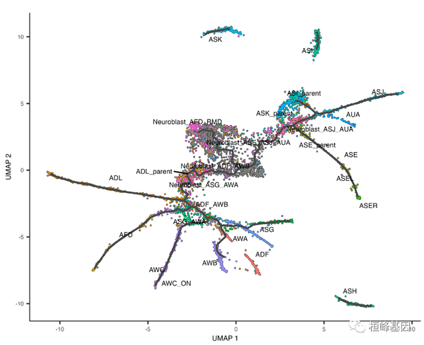 SCS【10】单细胞转录组之差异表达分析 (Monocle 3) - 知乎