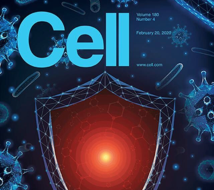 荣登《Cell》！人工智能在医疗领域的研究成果 - 知乎