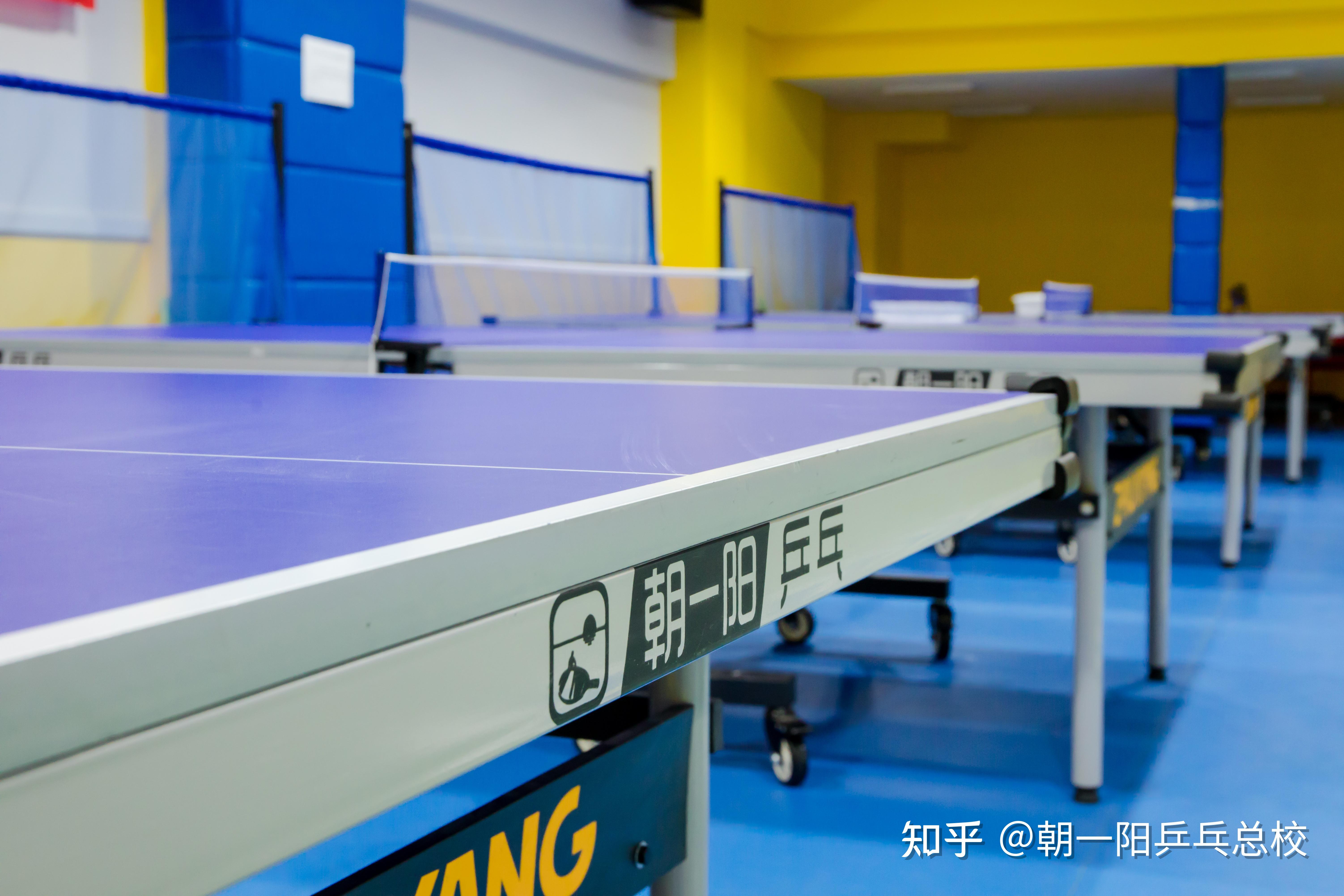 乒乓球初学者，学习乒乓球动作的先后顺序 知乎