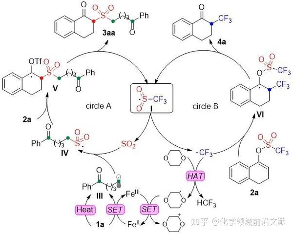 西安交通大学郭丽娜课题组OL：铁催化下过氧化合物调控的三氟甲磺酸烯醇酯的原位SO2捕获与CF3迁移反应 - 知乎