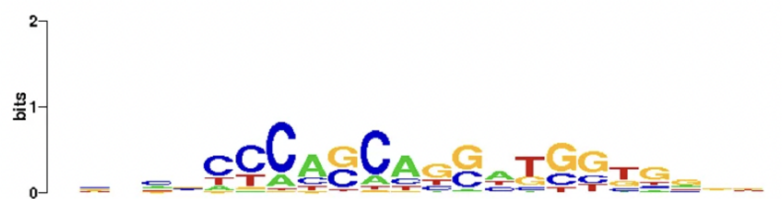 什么是sgRNA？ - 知乎
