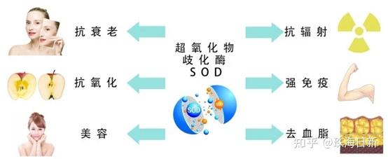 你小时候用过的SOD蜜是什么？卫生部认证六大功效？ - 知乎