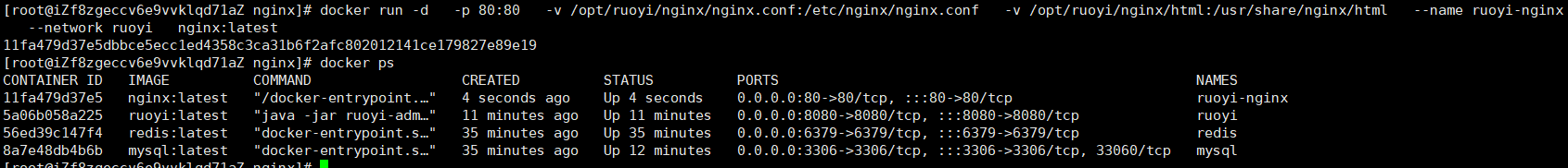 使用 Docker 容器化部署 Spring Boot Vue 项目：以若依后台管理系统为例 知乎