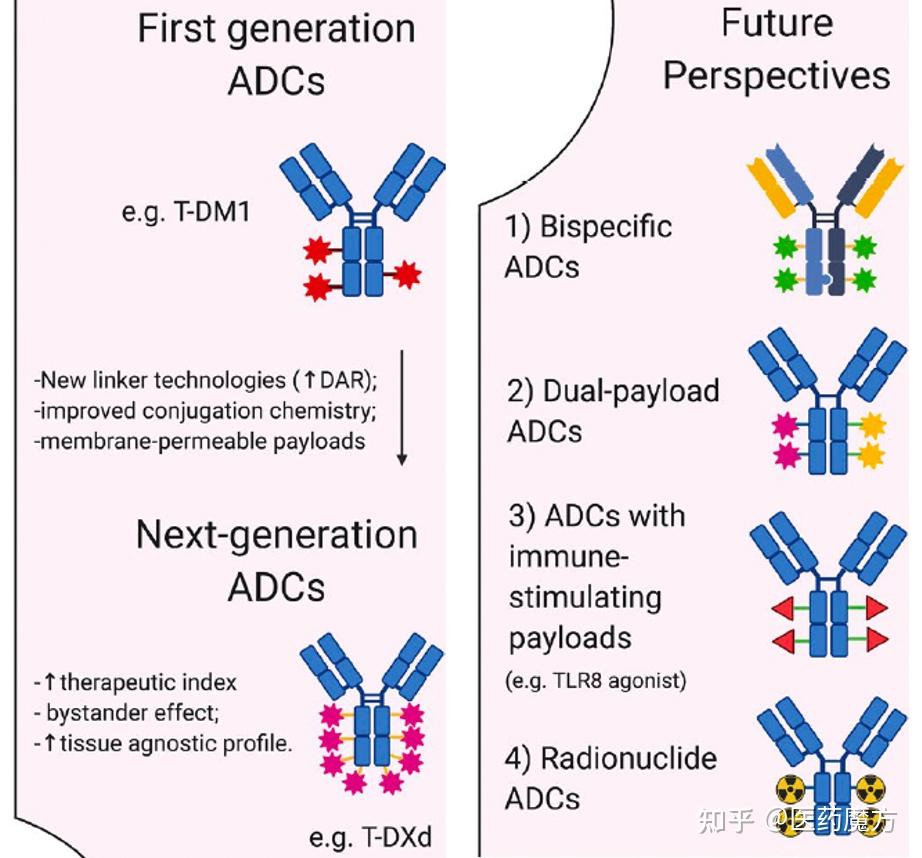 “神刊”CA重磅综述：ADC的现状、挑战、机遇和未来 - 知乎