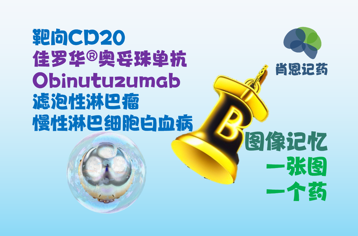 记住所有FDA生物药 | 靶向CD20 | 佳罗华®奥妥珠单抗 | 滤泡性淋巴瘤FL、慢性淋巴细胞白血病CLL - 知乎